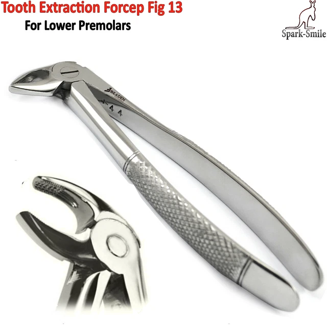 TOOTH EXTRACTION FORCEPS For Lower Premolar Teeth Extracting Forceps ...