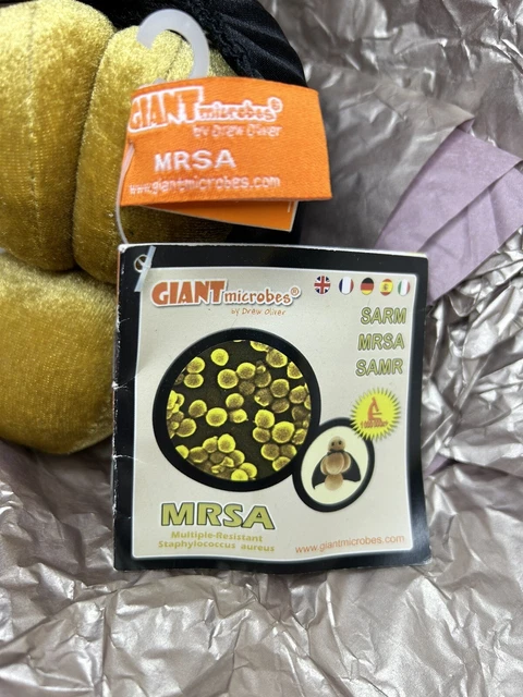 GIANT MICROBES MRSA Superbug Plush Toy Original Soft Body Educational ...