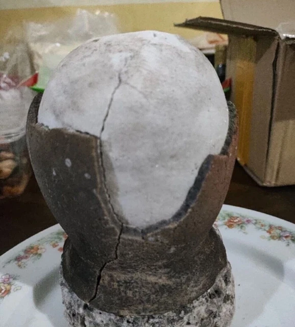 SELTENES & ECHTES Asin Tibuok Dino Ei handwerkliches Kokosnuss Meersalz ...