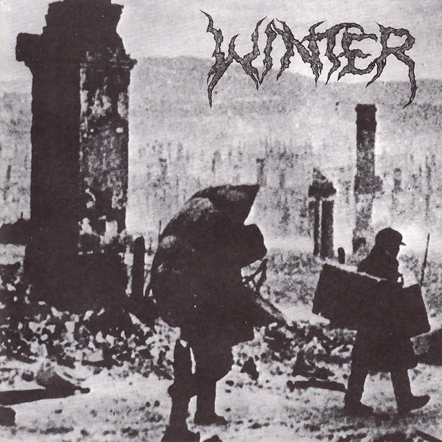WINTER INTO DARKNESS (Vinyl) 12" Album EUR 42,84 - PicClick FR