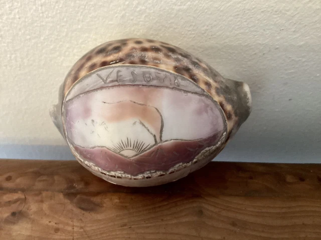 ANTIQUE VINTAGE COWRIE Cameo Shell Hand Carved Mount Vesuvius Souvenir ...