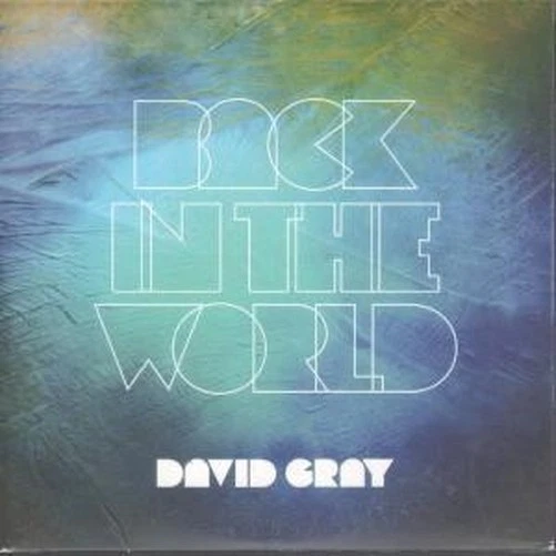 DAVID GRAY BACK In the World CDr Europe Iht 2014 radio edit promo cd ...