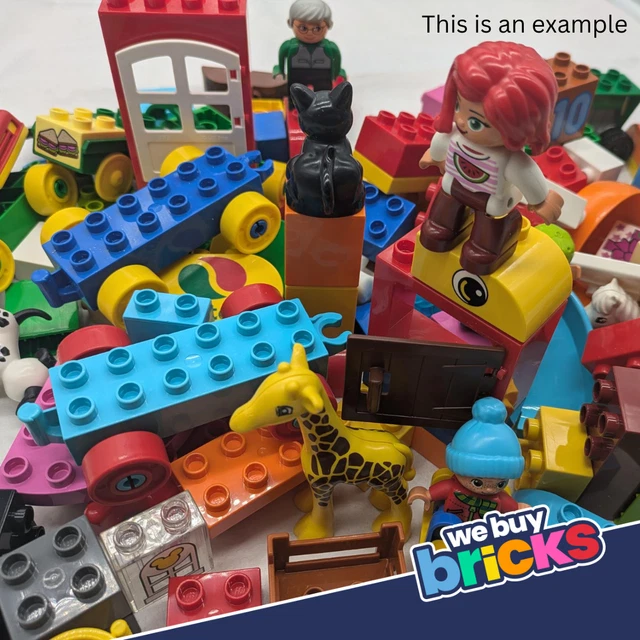 LEGO® DUPLO® 1KG Job Lot - Genuine Bundle- Cleaned- Great Value! £17.99 ...