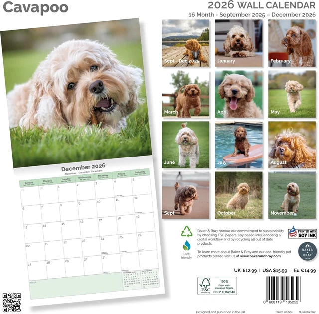 CAVAPOO CALENDAR 2026, Large Square Wall Calendar, 16 Month, Cavapoo ...