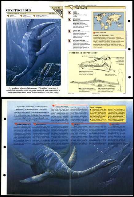 CRYPTOCLIDUS #15 EXTINCT Wildlife Fact File Fold-Out Card £1.99 ...