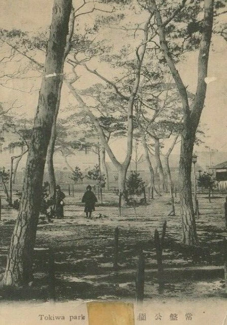 ANTIQUE JAPANESE POSTCARD, Tokiwa Park, Ube, Japan, People, Buildings ...