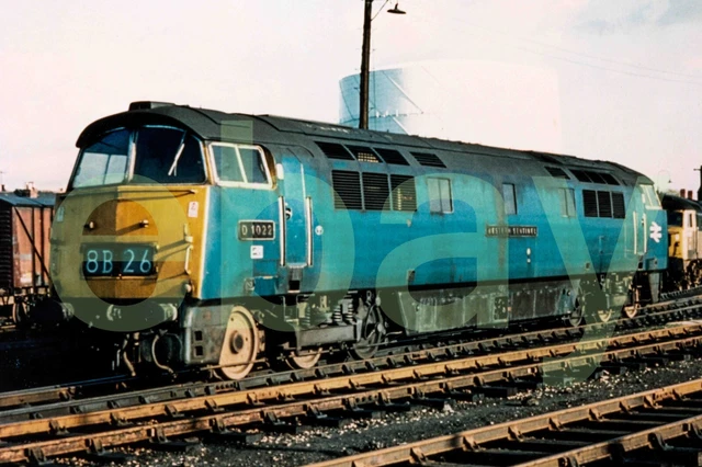 UK DIESEL TRAIN Railway Photograph Of Class 52 Western D1022. Rm52-70 £ ...