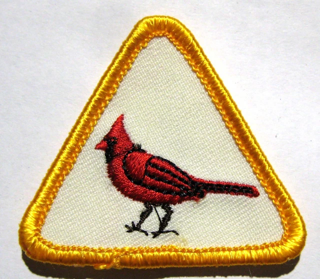 GIRL SCOUT BROWNIE BIRDS OF CAROLINAS TRY-IT Pine Council Own Red ...