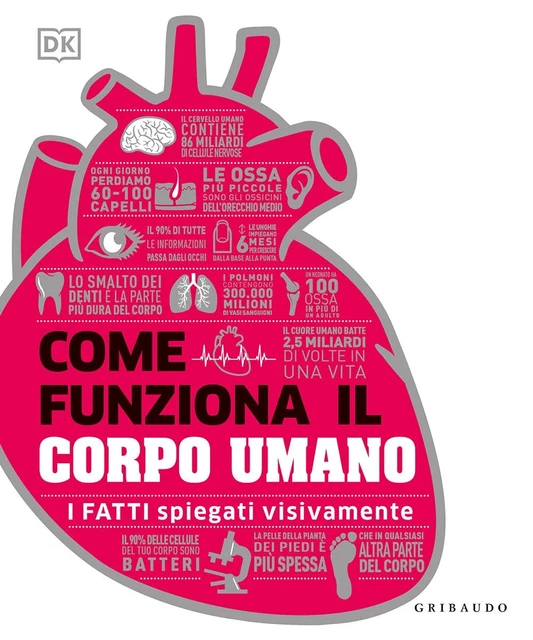 COME FUNZIONA IL corpo umano (Relié) EUR 36,28 - PicClick FR