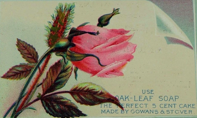 FORSYTH & SPAULDING Dry Goods Gowan & Stover Oak-Leaf Soap Red Rose ...