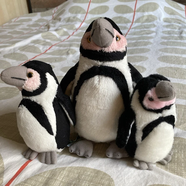 RAVENSDEN SUMA HUMBOLDTS Penguin Family 8/5” 20/12cm Plush Soft Toy ...