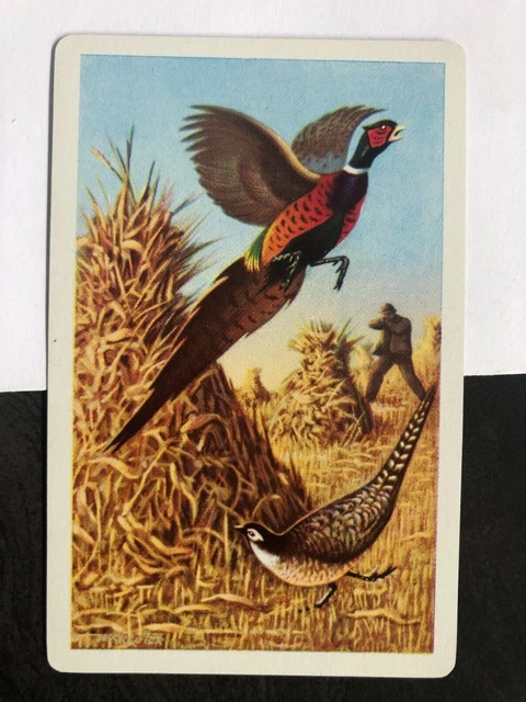 VINTAGE OLD RETRO Art Swap Playing Card Pheasant Grouse Birds Hunter ... VINTAGE OLD RETRO Art Swap Playing Card Pheasant Grouse Birds Hunter ...