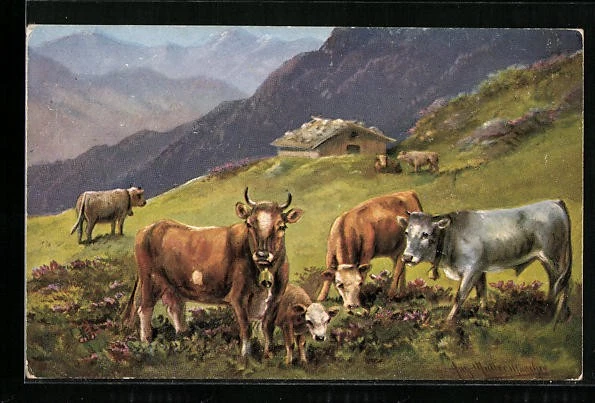 KÜNSTLER-AK AUGUST MÜLLER - München: Kuhherde auf einer Almweide EUR 6,00 - PicClick DE