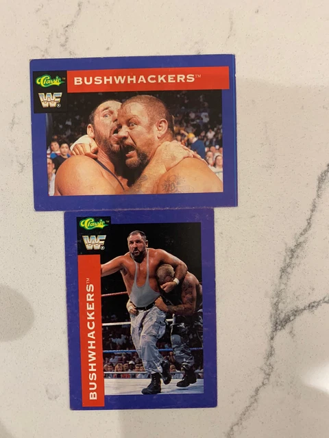 WWF WWE 1991 CLASSIC WRESTLING TRADING CARDS X 2 Jake The Snake Roberts £2.00 - PicClick UK