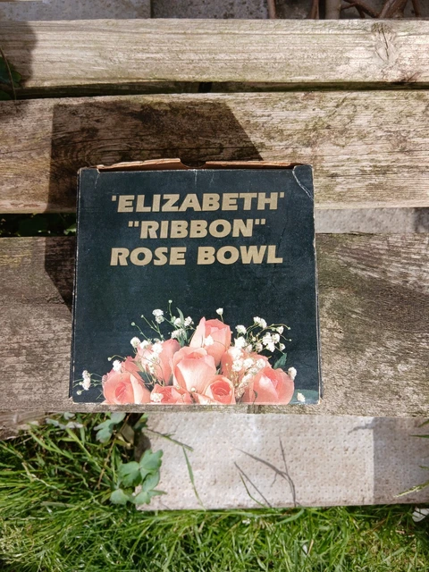 ELIZABETH RIBON ROSE New Bowl Crystal Satin Finish Silver Plated ...