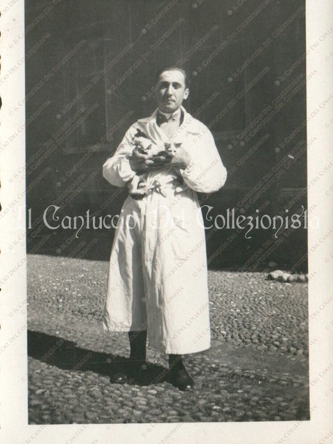 1933 TRENTO VETERINARIO militare Regio Esercito in posa con gatti Foto ...