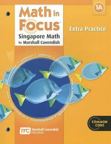 MATH IN FOCUS: Singapore Math: Extra Practice, Book A Grade 1 $5.99 ...
