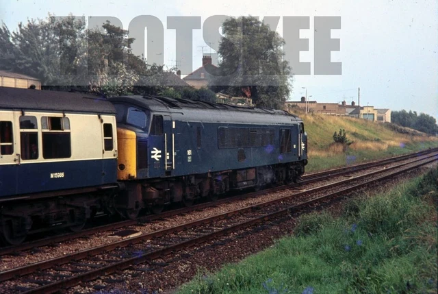 35MM SLIDE BR British Railways Diesel Loco Class 46 D161 Radipol Halt ...