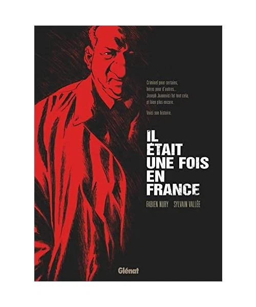IL ÉTAIT UNE fois en France - Intégrale « roman graphique », Vallée ...