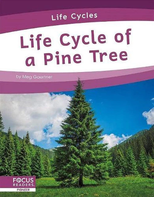 LIFE CYCLES: LIFE Cycle of a Pine Tree by Meg Gaertner (English ...