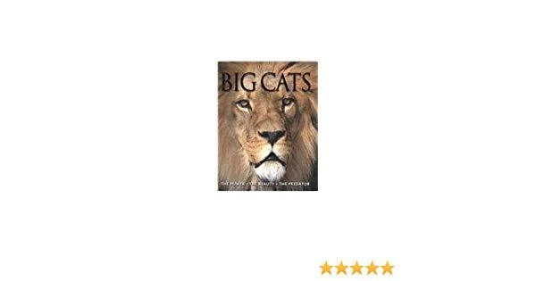 BIG CATS-THE - Beauty-Predator Par A.Tomsett-New EUR 15,47 - PicClick FR