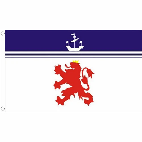 DEVON LION FLAG 5' x 3' England Counties English County Flags £6.00 ...