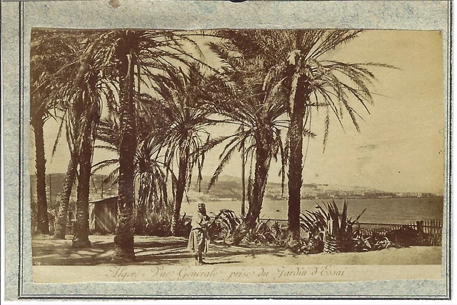 ALGER VUE GÉNÉRALE prise du jardin d'essai circa 1880 Photo CDV Algérie Neurdein EUR 25,00 ...