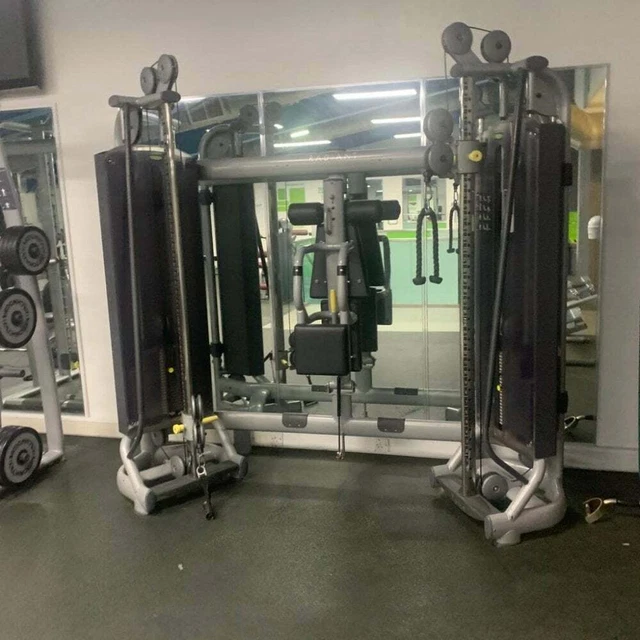 TECHNOGYM RADIANT SELECTION Dual Adjustable Pulley DAP Commercial Gym ...