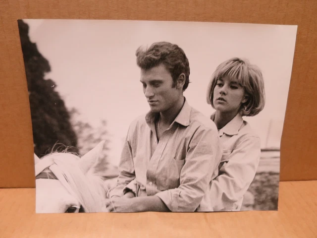 JOHNNY HALLYDAY ET SYLVIE VARTAN à cheval photographie vers 1965 EUR 18 ...
