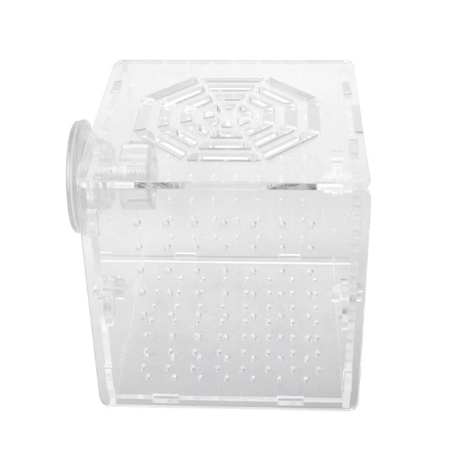 BREEDING NET FISH Tank Baby Fish Separator Acrylic Terrarium £12.39 ...