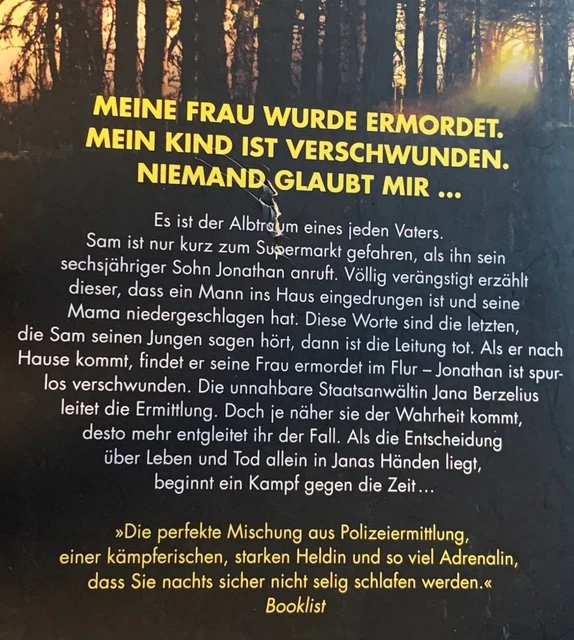 IM NAMEN DES Sohnes von Emelie Schepp (2018, Taschenbuch) ungelesen EUR ...