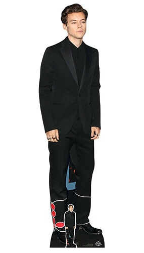 HARRY STYLES BLACK Suit Lifesize Cardboard Cutout 183cm £35.99 ...