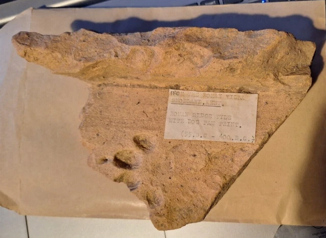 LARGE ROMAN RIDGE Tile With Dog Paw Print-Snodland Kent-55/400 Ad-Attic ...