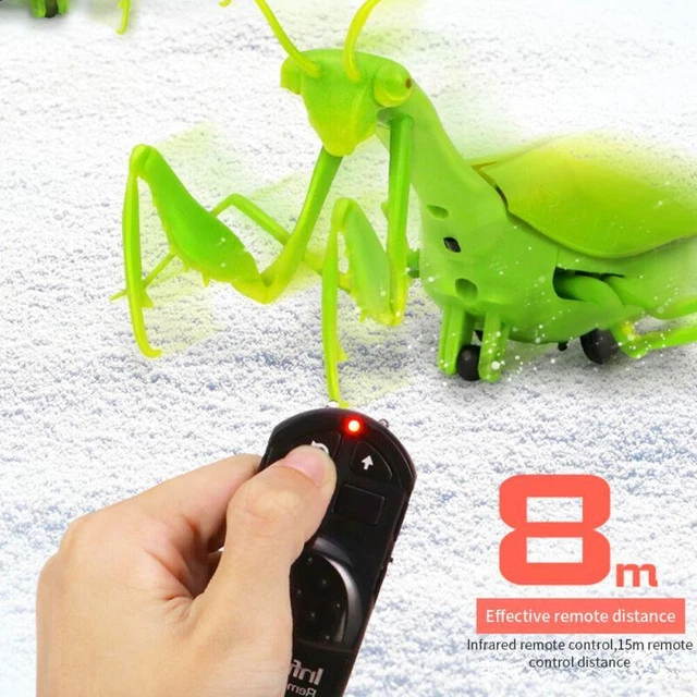 INFRARED REMOTE CONTROL Firefly Moth Praying Toy RC Insects Simulation ...