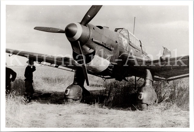 T631 FOTO WEHRMACHT Archiv Repro Luftwaffe Flugzeug Ju87 Stuka Emblem ...