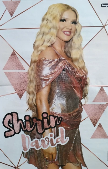 SHIRIN DAVID - A3 Poster (ca. 42 x 28 cm) - DSDS 2017 Clippings Fan Sammlung NEU EUR 12,99 ...