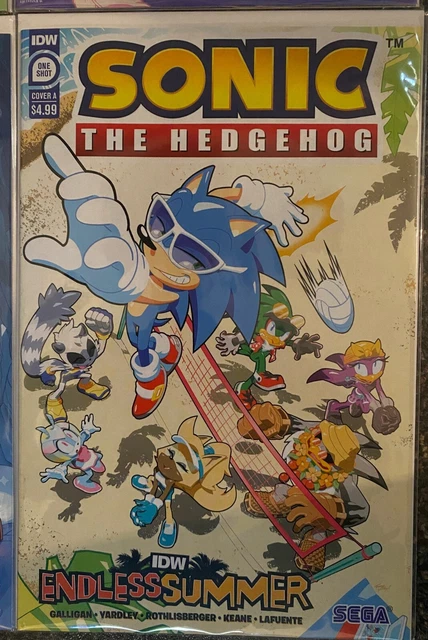 Idw Sonic The Hedgehog Comic One Shot 900th Adventure Lot De Numéros