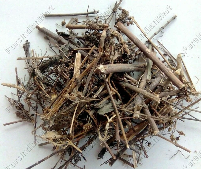 LOT SWERTIA CHIRATA Tongluensis Chiretta Kairata Chirette Chirette ...