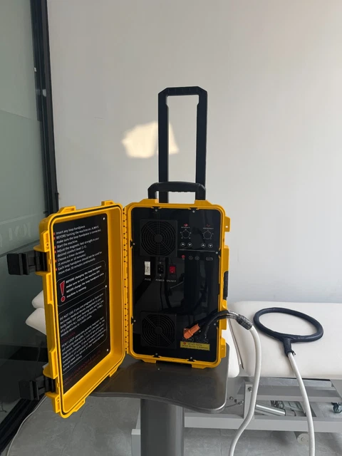 PEMF THERAPY MACHINE Pmst loop Pulsed Electromagnetic Field Mat Home ...