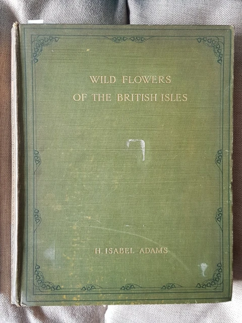 WILD FLOWERS OF The British Isles by H. Isabel Adams 1907 - 75 COLOUR ...