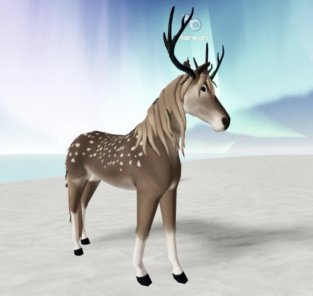 WILD HORSE ISLANDS 🌸 Wild Caught Black Antler Marwari Fawn Piebald 🌸 ...