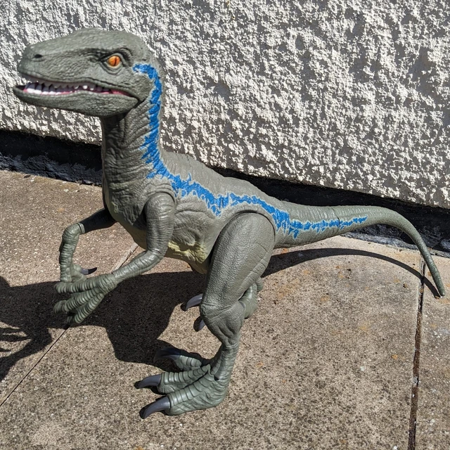 JURASSIC WORLD DINOSAUR Super Colossal Velociraptor Blue Figure Large ...