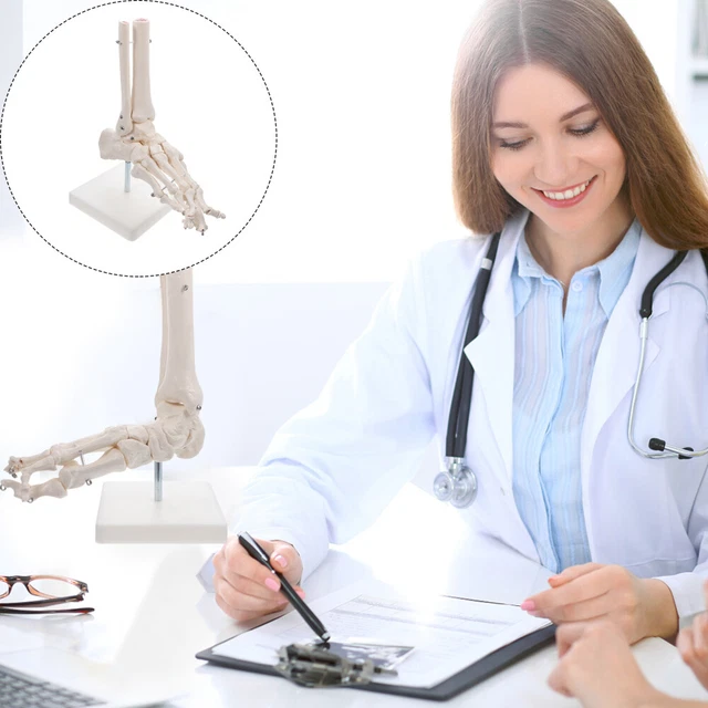 Puzzle Corpo Umano Puzzle Anatomia Scheletro Anatomia Eur 31 50