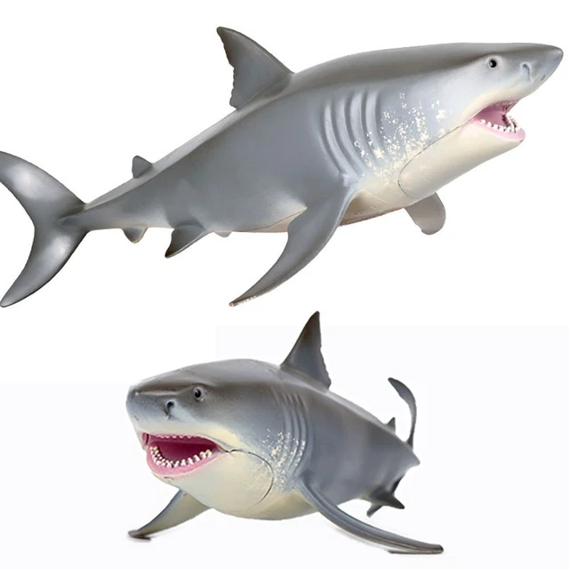 LEARNING GREAT WHITE Shark Models Simulation Sealife Marine Organism ...