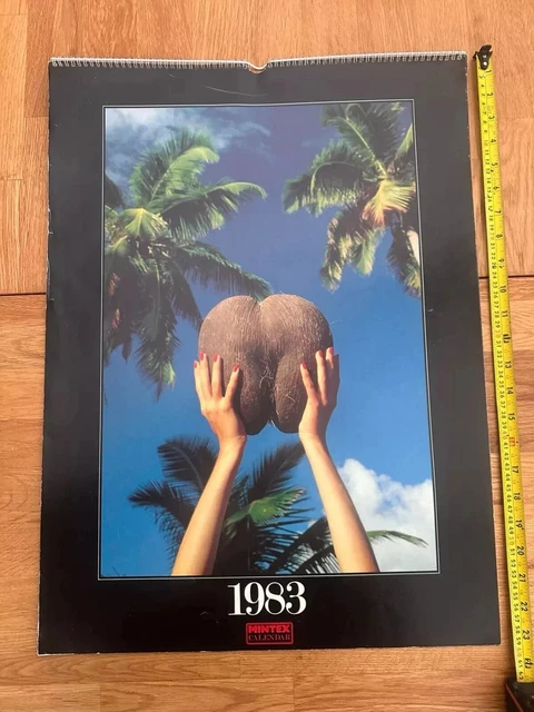 VINTAGE MINTEX 1983 Calendar Exotic Glamour Girls £16.15 - PicClick UK