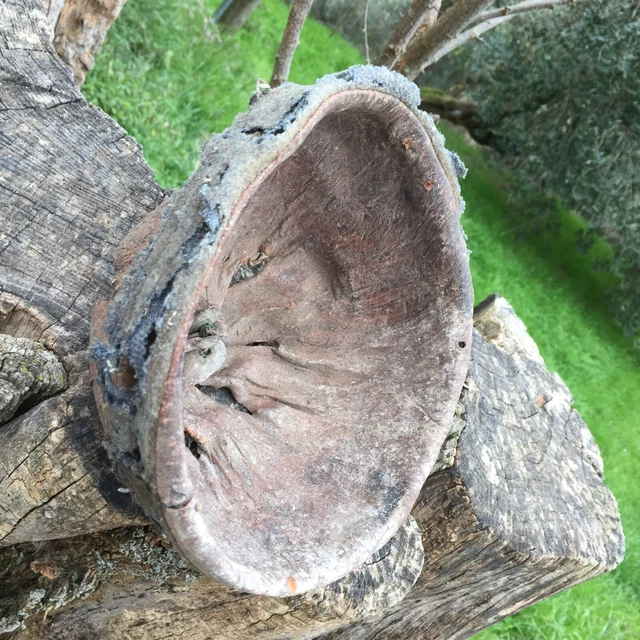 INTERNO ELMETTO ADRIAN 915 PRIMA GUERRA WW1 helmet liner elmo 1GM ...