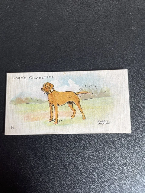 COPE - DOGS OF THE WORLD (ENGLISH) - #41 Cuban Mastiff - Excellent EUR ...