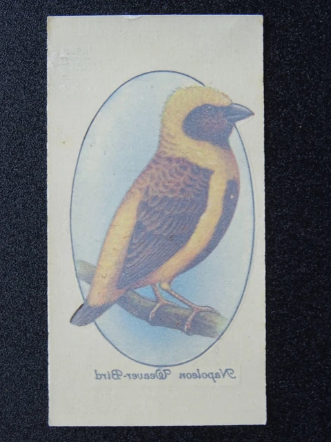 NAPOLEON WEAVER BIRD Aviary & Cage Birds TRANSFERS by John Player 1933 ...