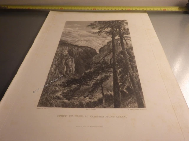 1880.NAHR EL KADICHA . (Lebanon Liban engraving.gravure.orientalism ...
