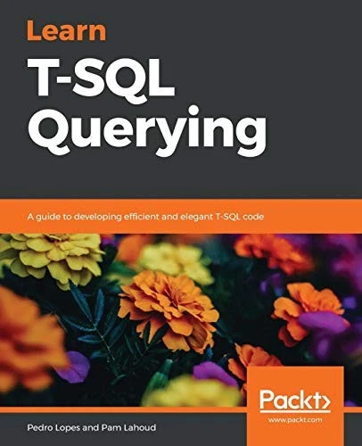 LEARN T-SQL QUERYING: A GUIDE TO DEVELOPING EFFICIENT AND By Pedro ...